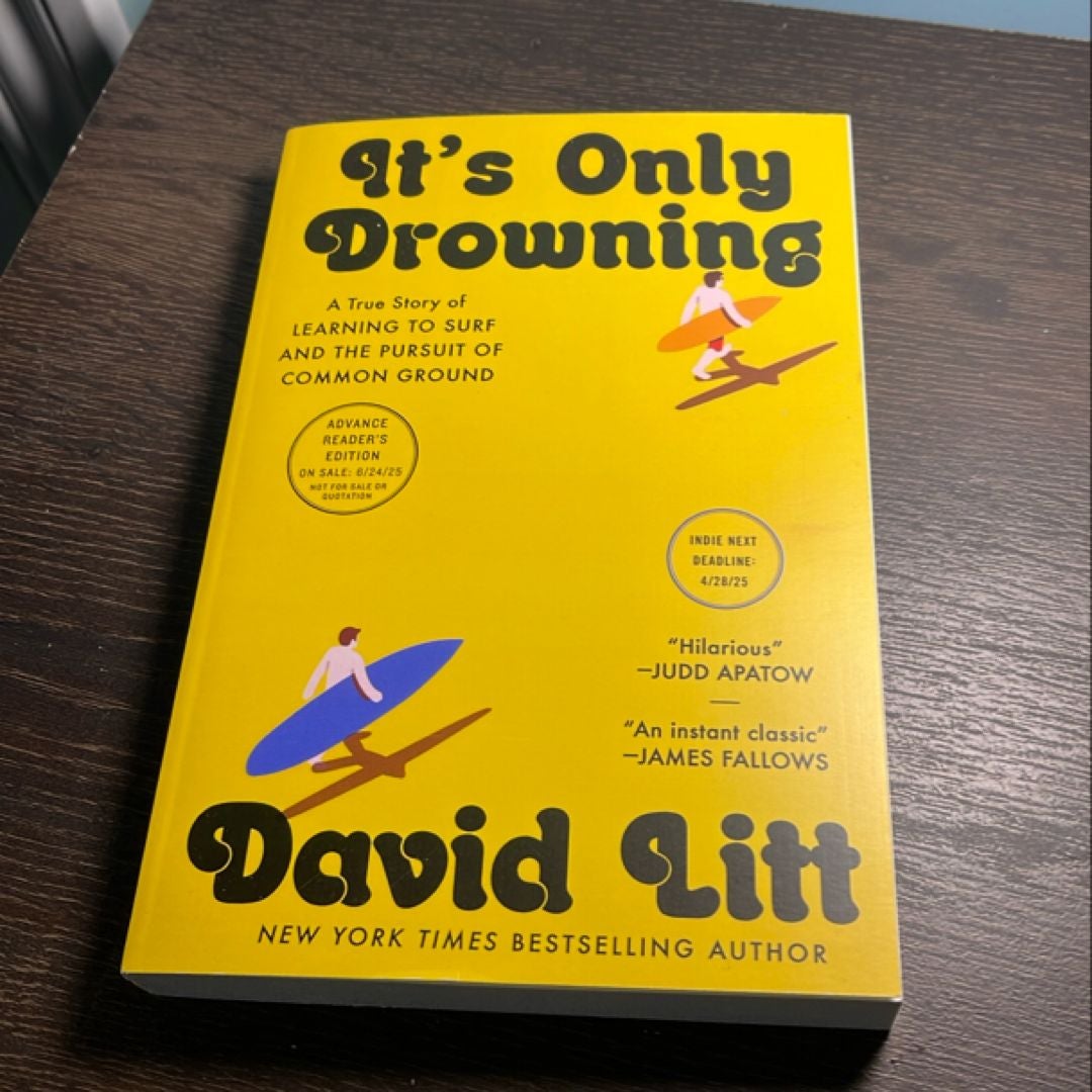 It’s Only Drowning by David Litt, Paperback | Pangobooks