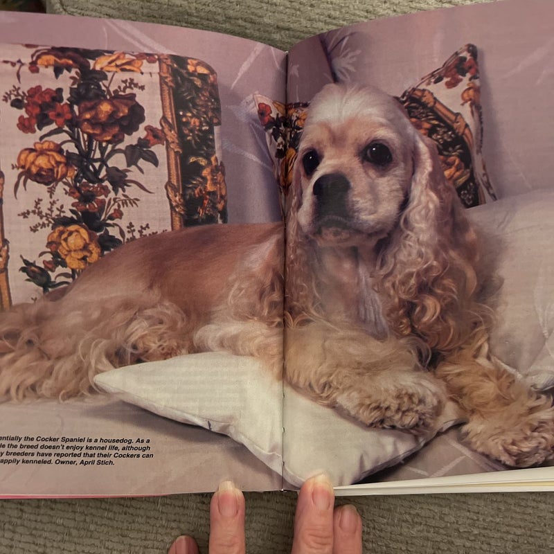 Cocker Spaniels by Bart King, Hardcover | Pangobooks
