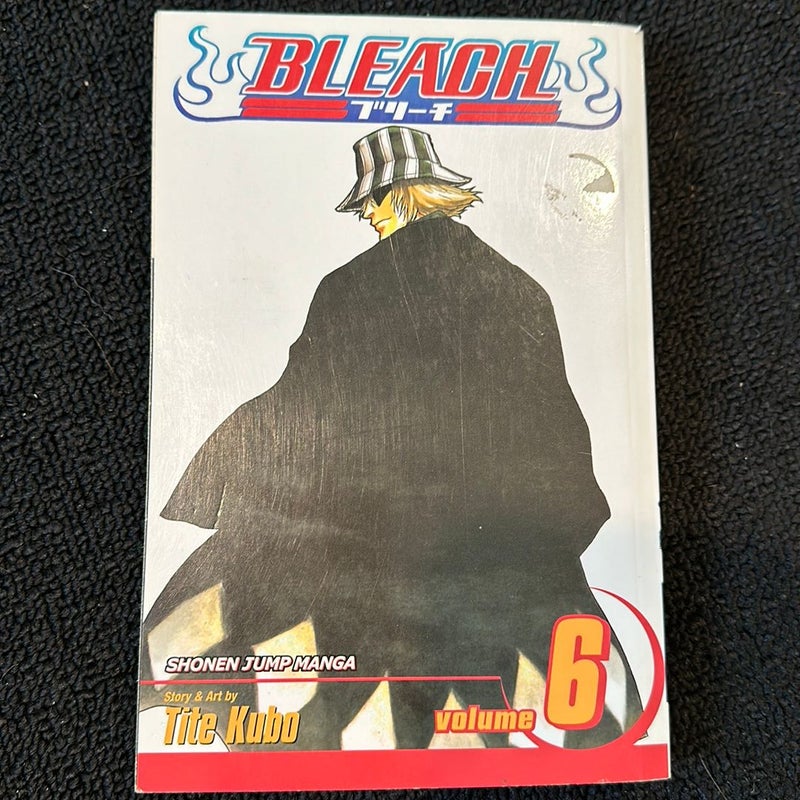 Bleach, Vol. 6 by Tite Kubo