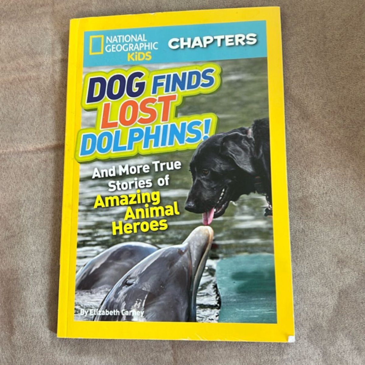 National Geographic Kids Chapters: Dog Finds Lost Dolphins by Elizabeth ...