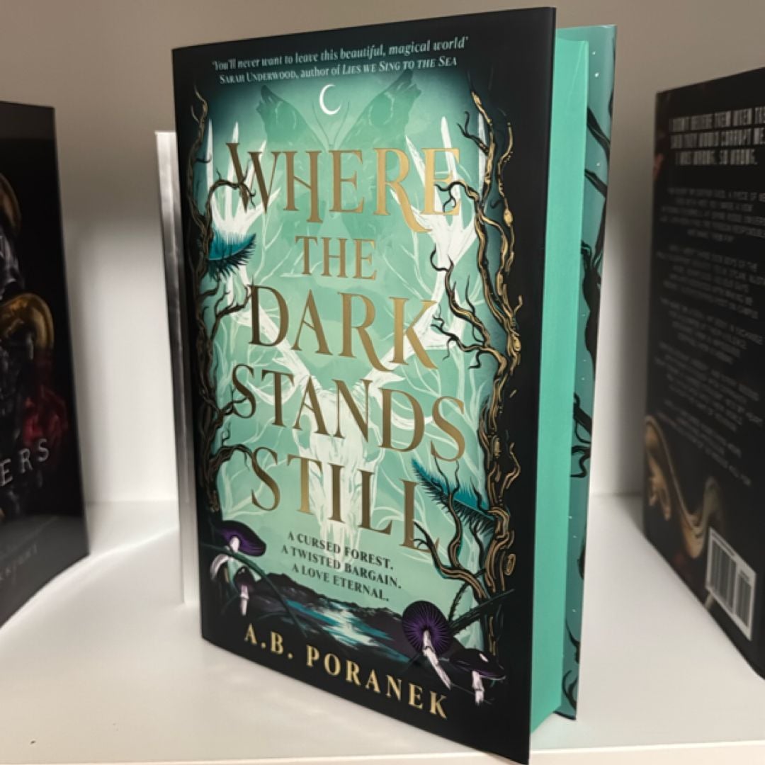 Where the Dark Stands Still by A, Hardcover | Pangobooks