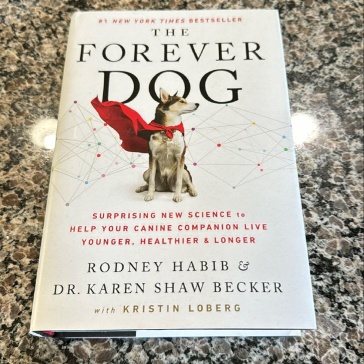 The Forever Dog by Rodney Habib, Karen Shaw Becker