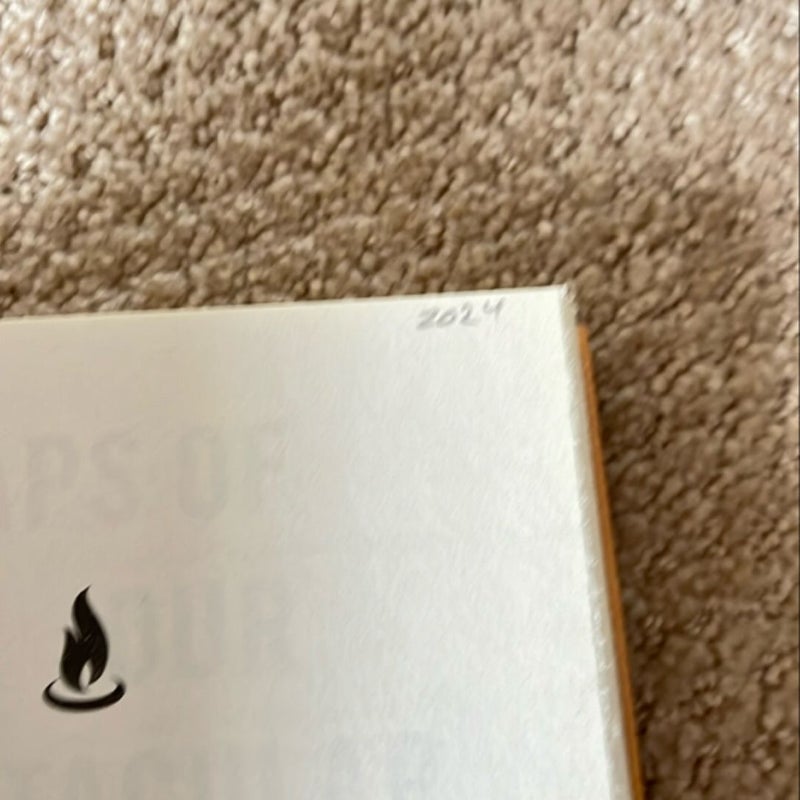 Maps of Our Spectacular Bodies by Maddie Mortimer