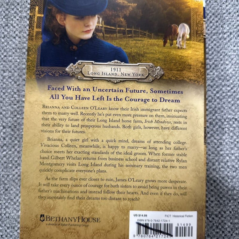 Irish Meadows by Susan Anne Mason