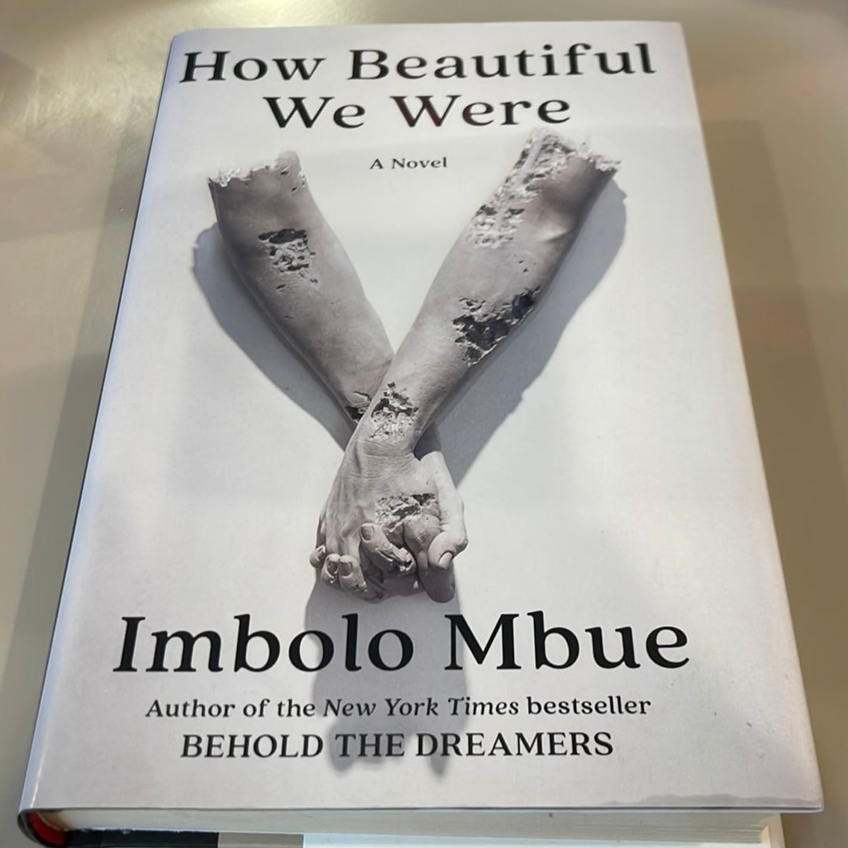 How Beautiful We Were by Imbolo Mbue