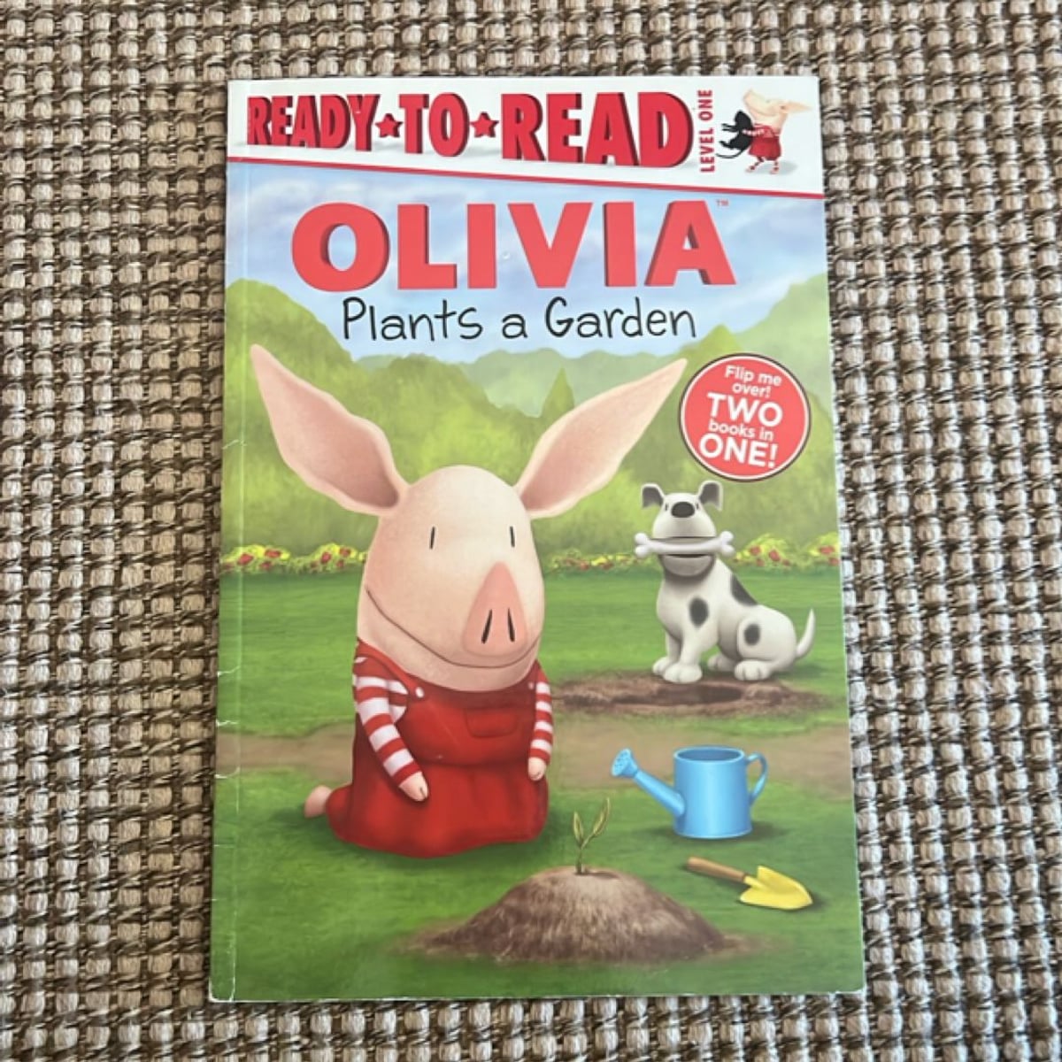 Olivia Plants a Garden; Olivia and Her Ducklings by Emily Sollinger ...