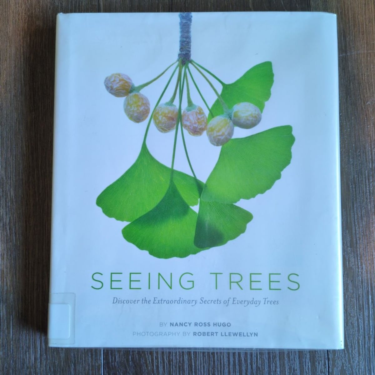 Seeing Trees by Nancy Ross Hugo, Robert Llewellyn