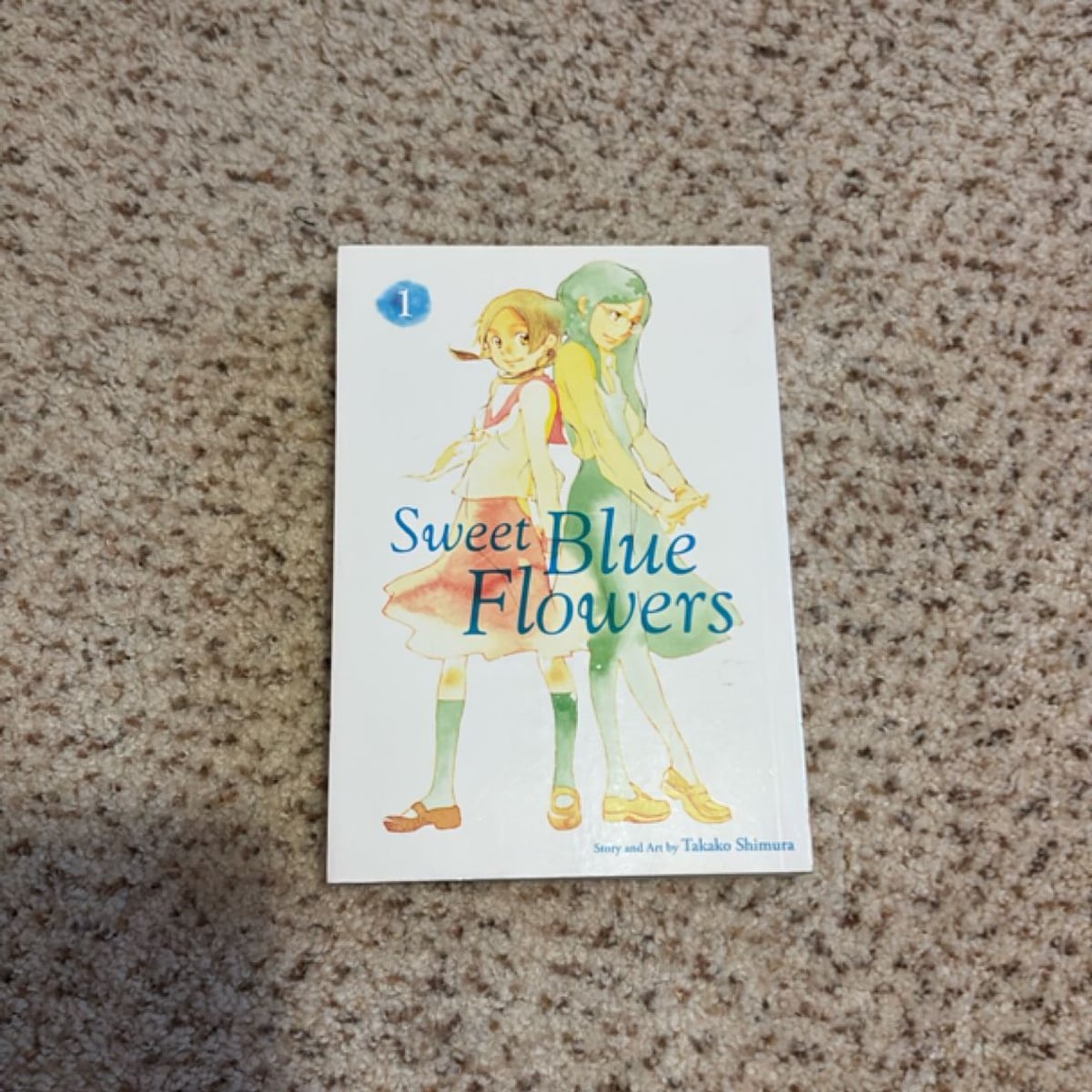 Sweet Blue Flowers, Vol. 1 by Takako Shimura