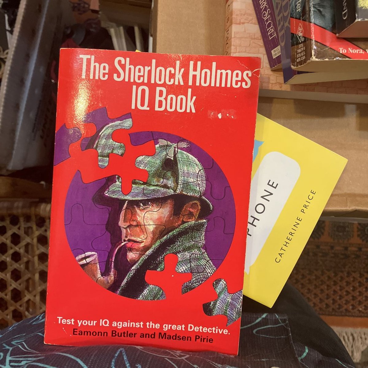 The Sherlock Holmes IQ Book by Eamonn Butler, Madsen Pirie