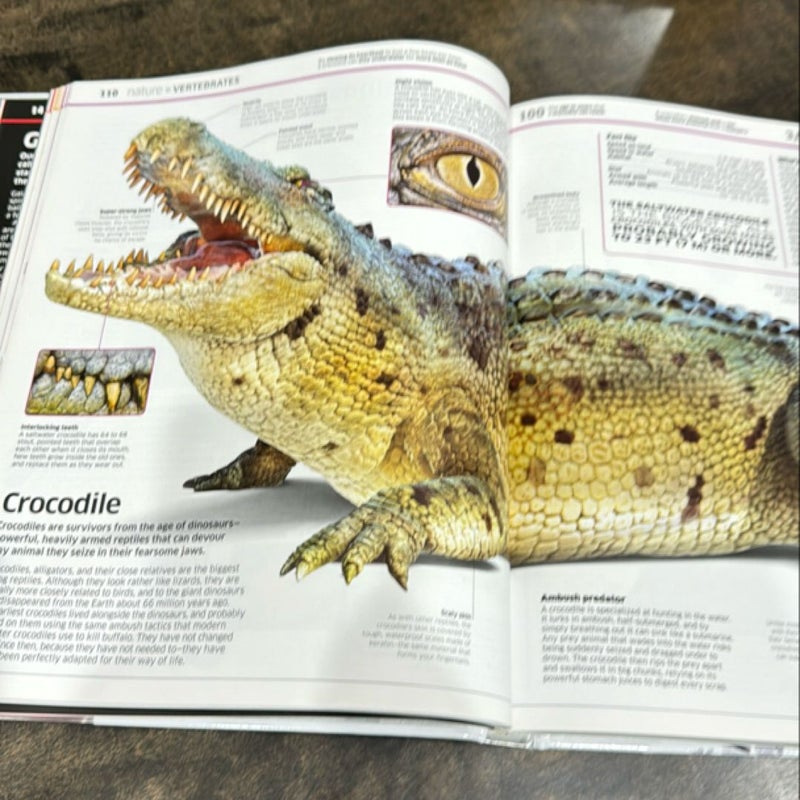 Knowledge Encyclopedia (Updated and Enlarged Edition) by DK