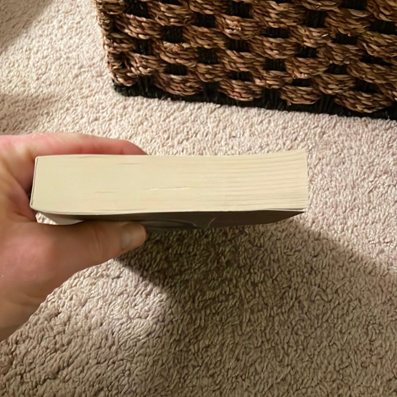 Prozac Nation by Elizabeth Wurtzel, Paperback | Pangobooks