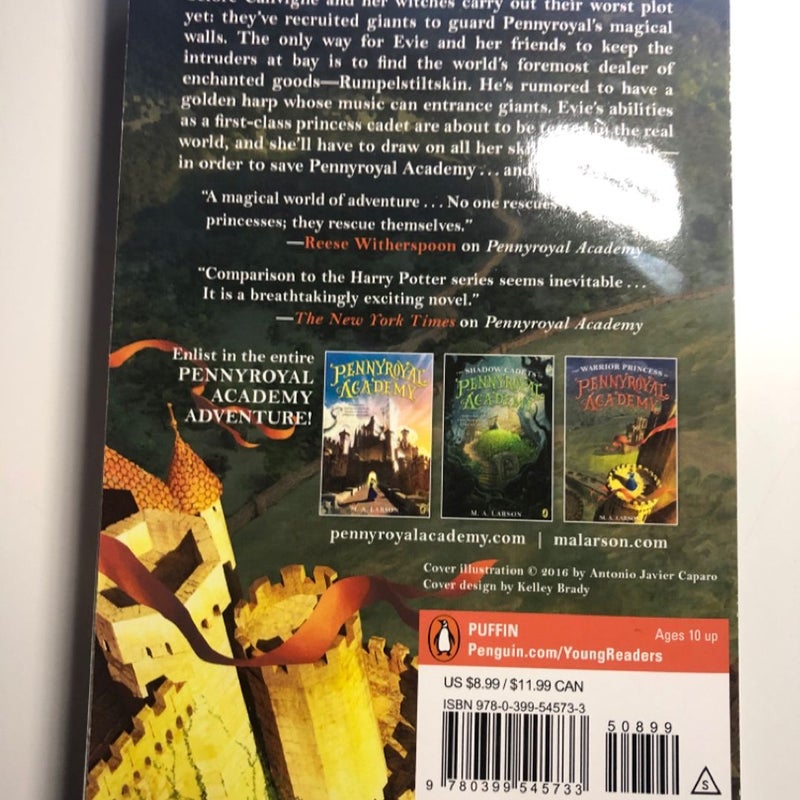 The Warrior Princess of Pennyroyal Academy by M. A. Larson