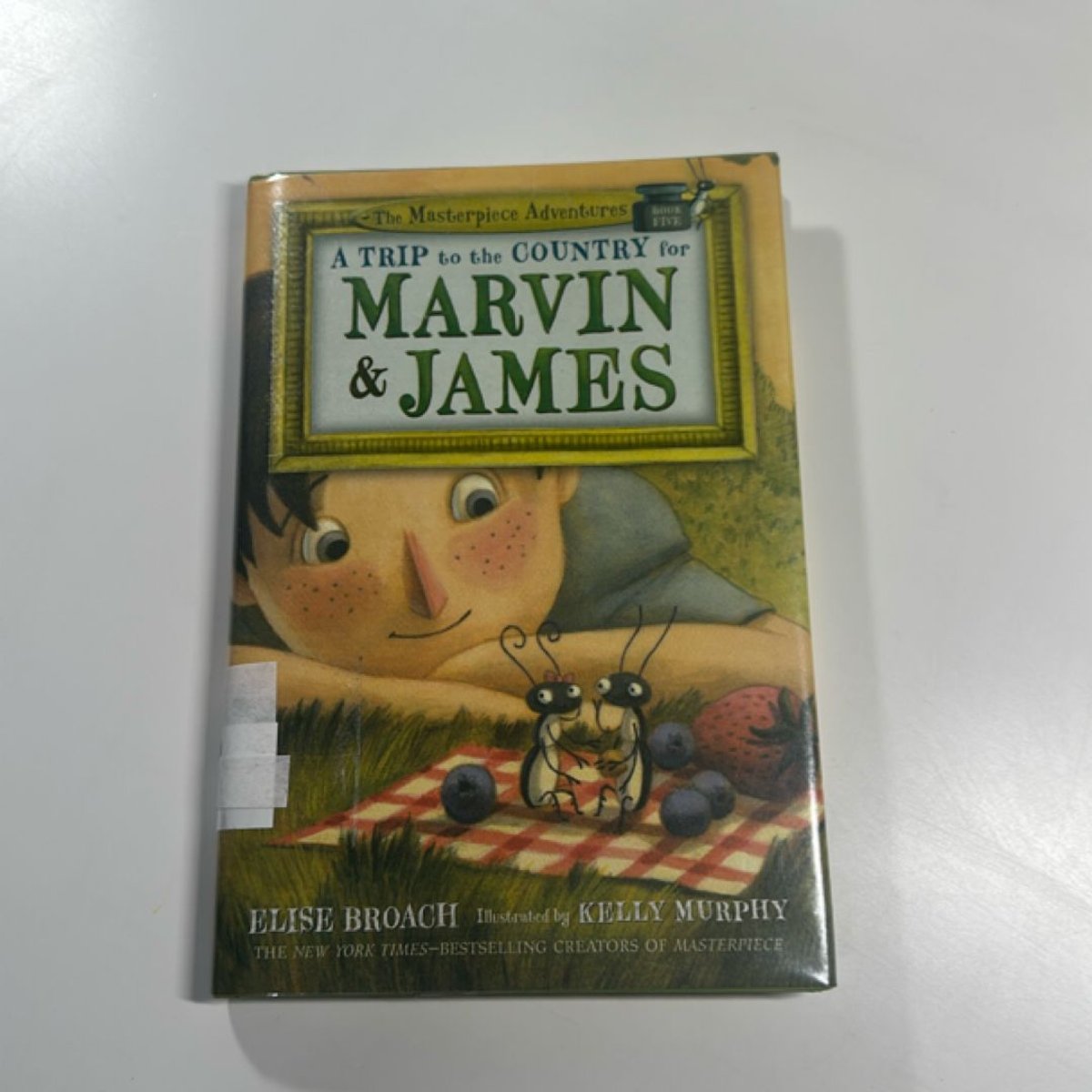 A Trip to the Country for Marvin and James by Elise Broach
