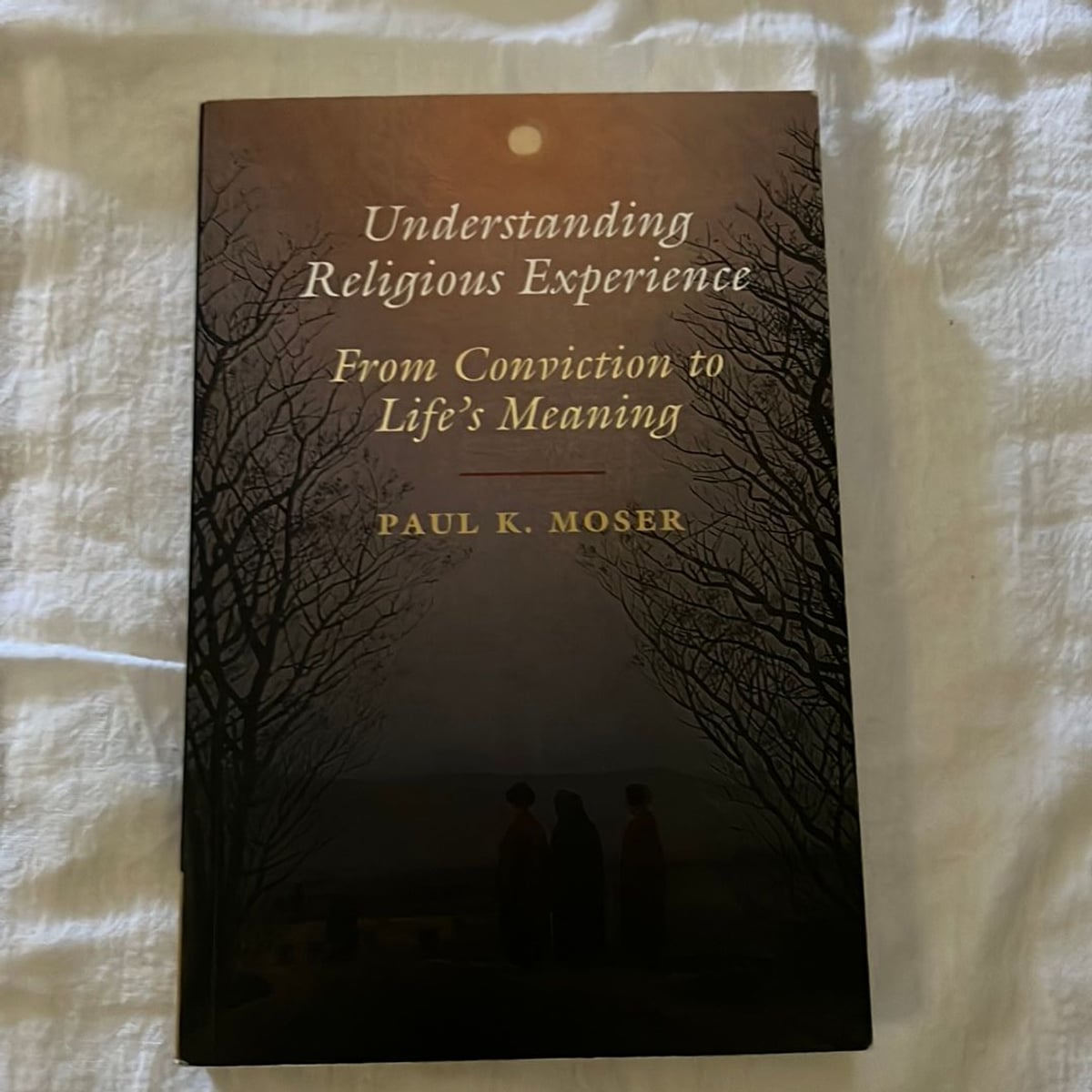 Understanding Religious Experience by Paul K. Moser