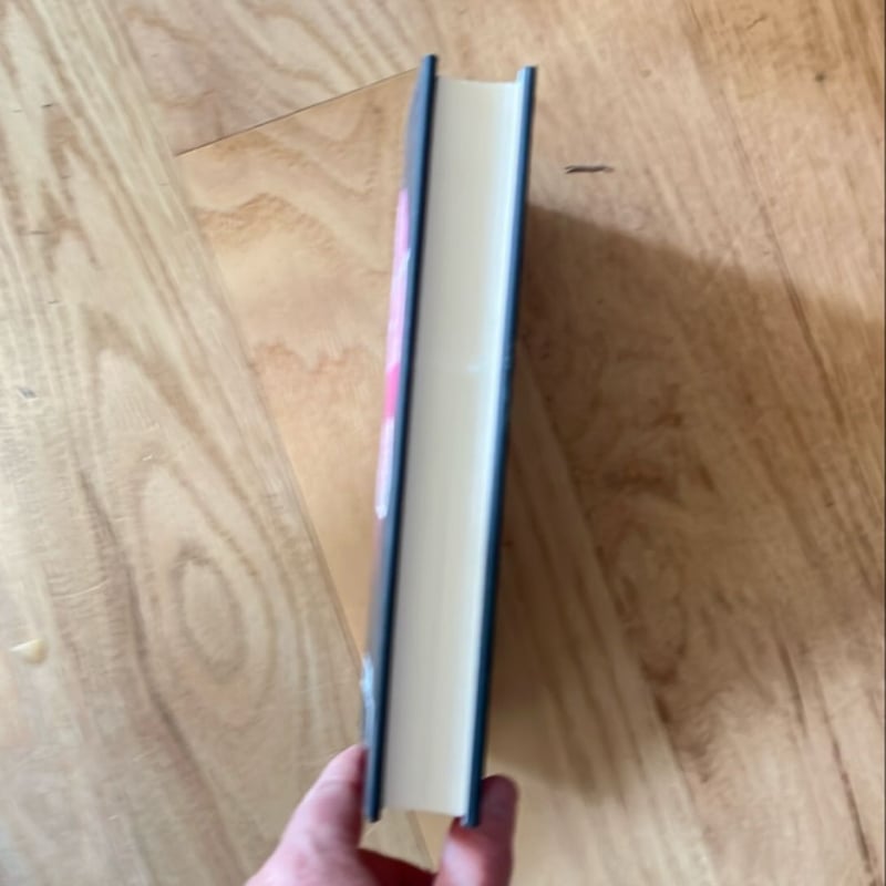 The Perfect Child by Lucinda Berry, Hardcover | Pangobooks