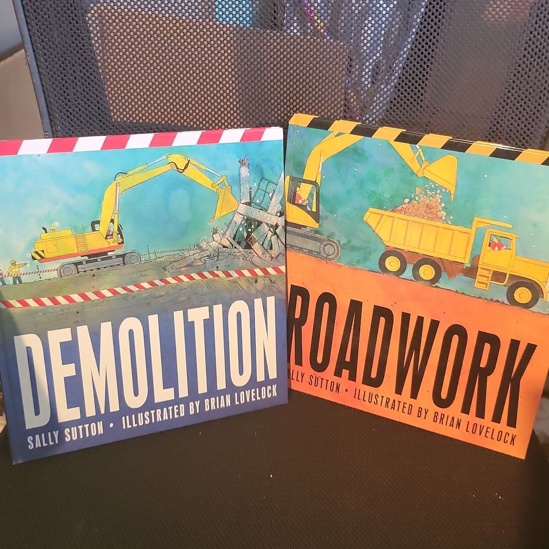 Demolition by Sally Sutton
