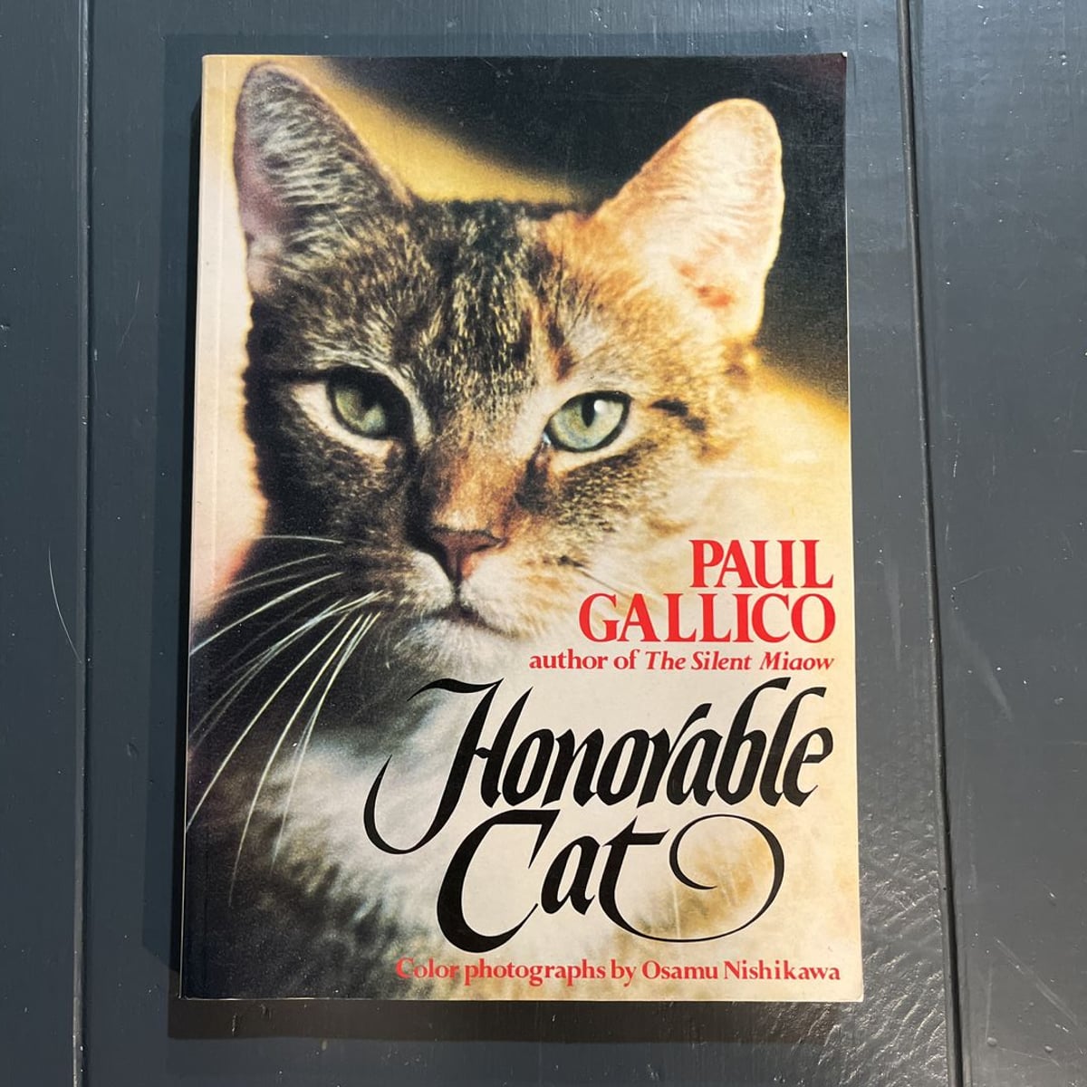 The Honorable Cat by Paul Gallico, Paperback | Pangobooks