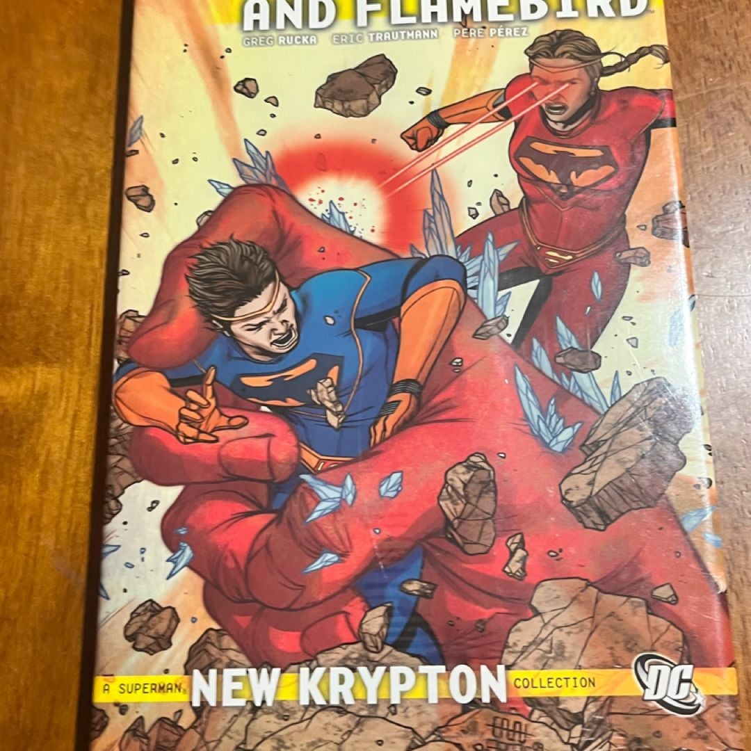 Nightwing and Flamebird by James Robinson, Pere Pérez, Santiago Arcas ...