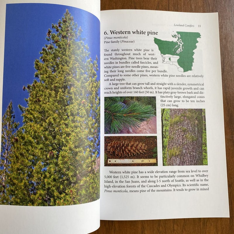 Native Trees of Western Washington by Kevin W. Zobrist
