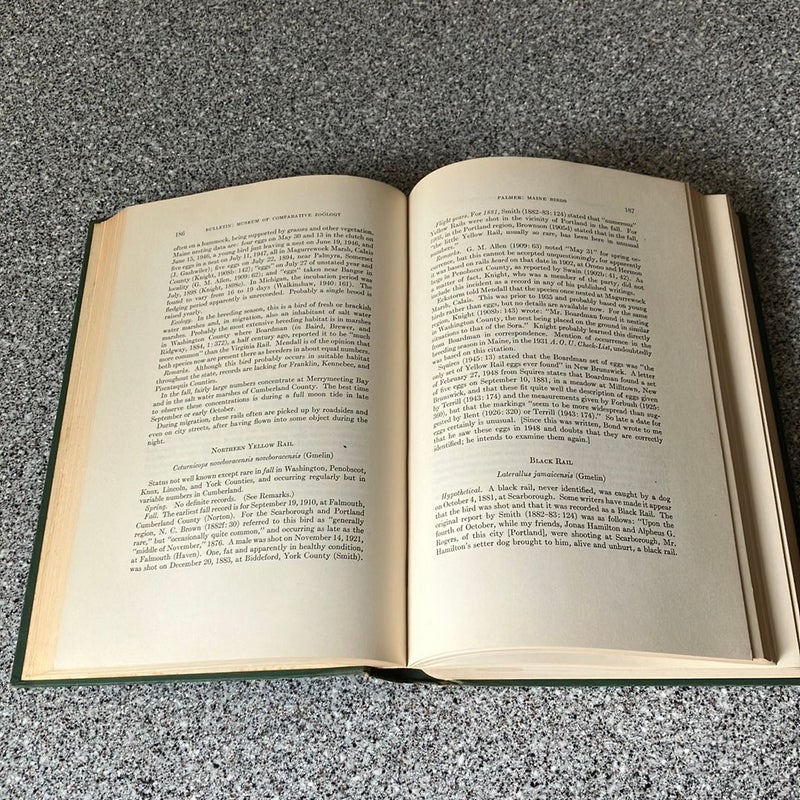 Maine Birds ** by Ralph S. Palmer, Hardcover | Pangobooks