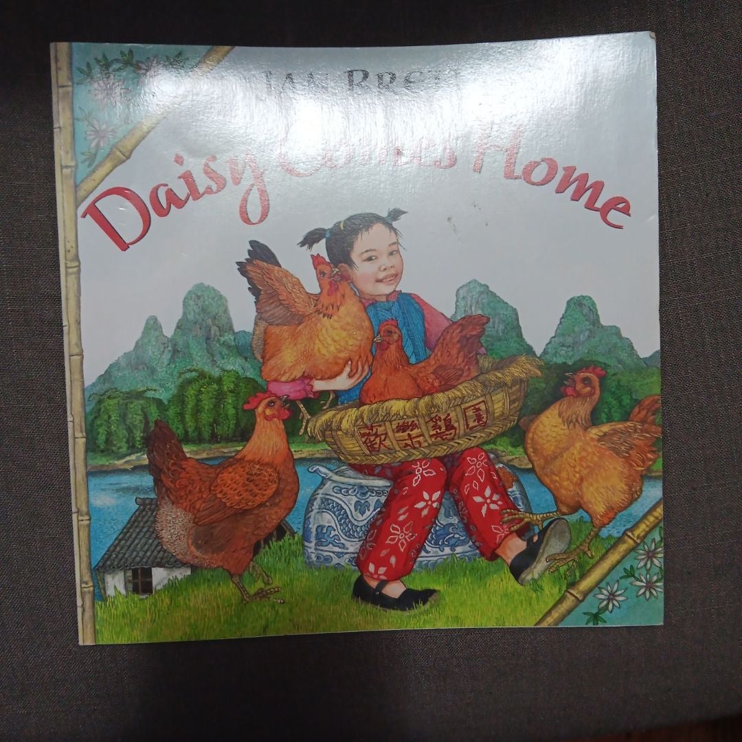 Daisy Comes Home by Jan Brett, Paperback | Pangobooks