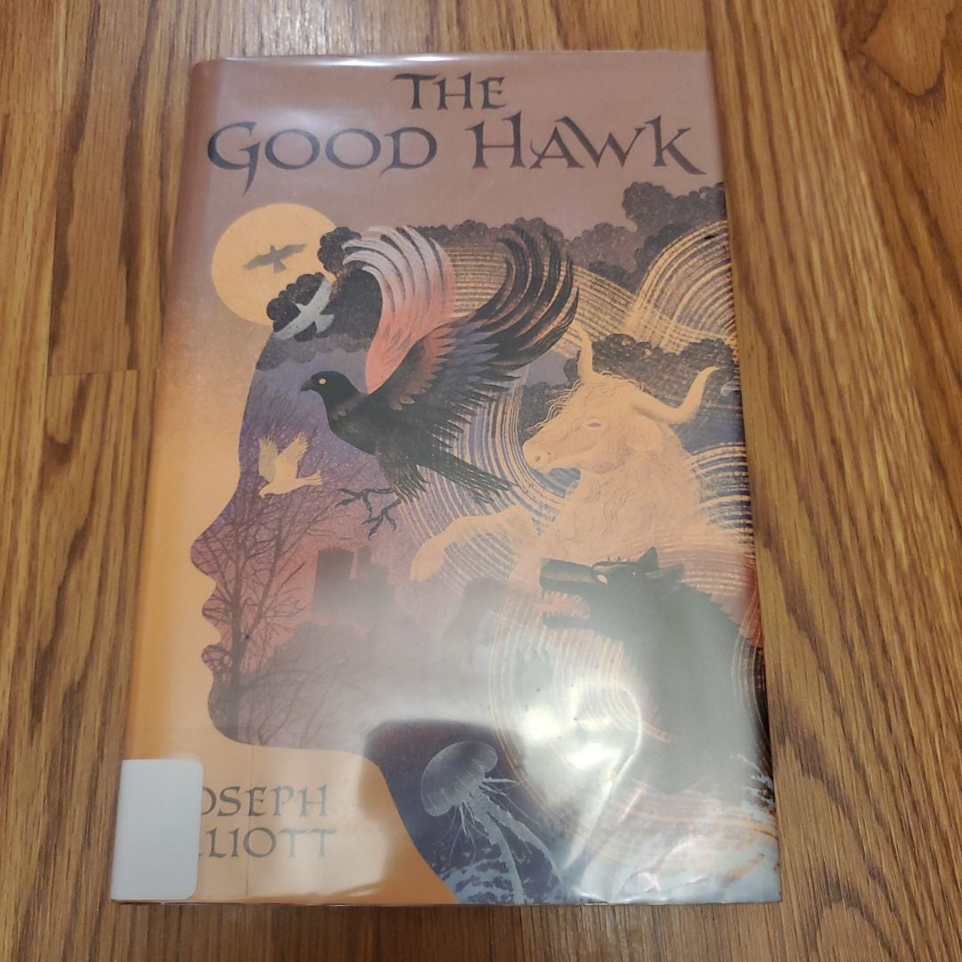 The Good Hawk (Shadow Skye, Book One) by Joseph Elliott