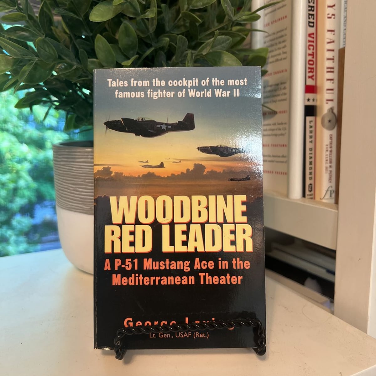 Woodbine Red Leader by George Loving