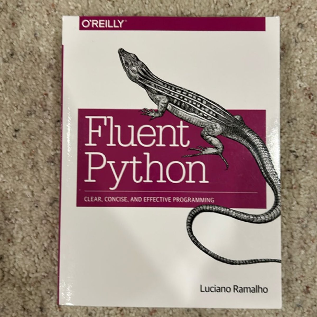 Fluent Python by Luciano Ramalho
