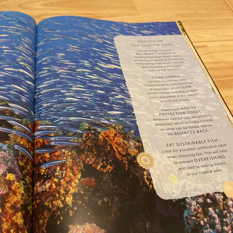 Our Planet: the One Place We All Call Home