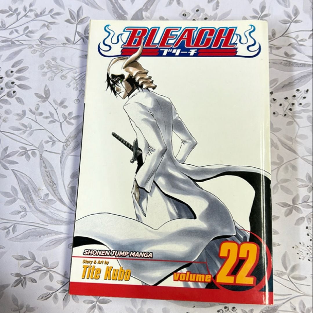 Bleach, Vol. 22 by Tite Kubo