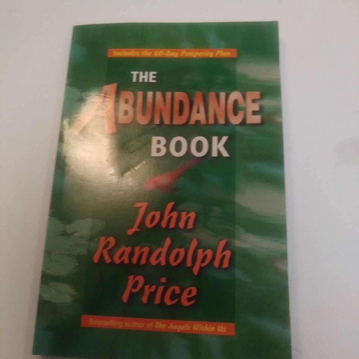 The Abundance Book by John Randolph Price, Paperback | Pangobooks