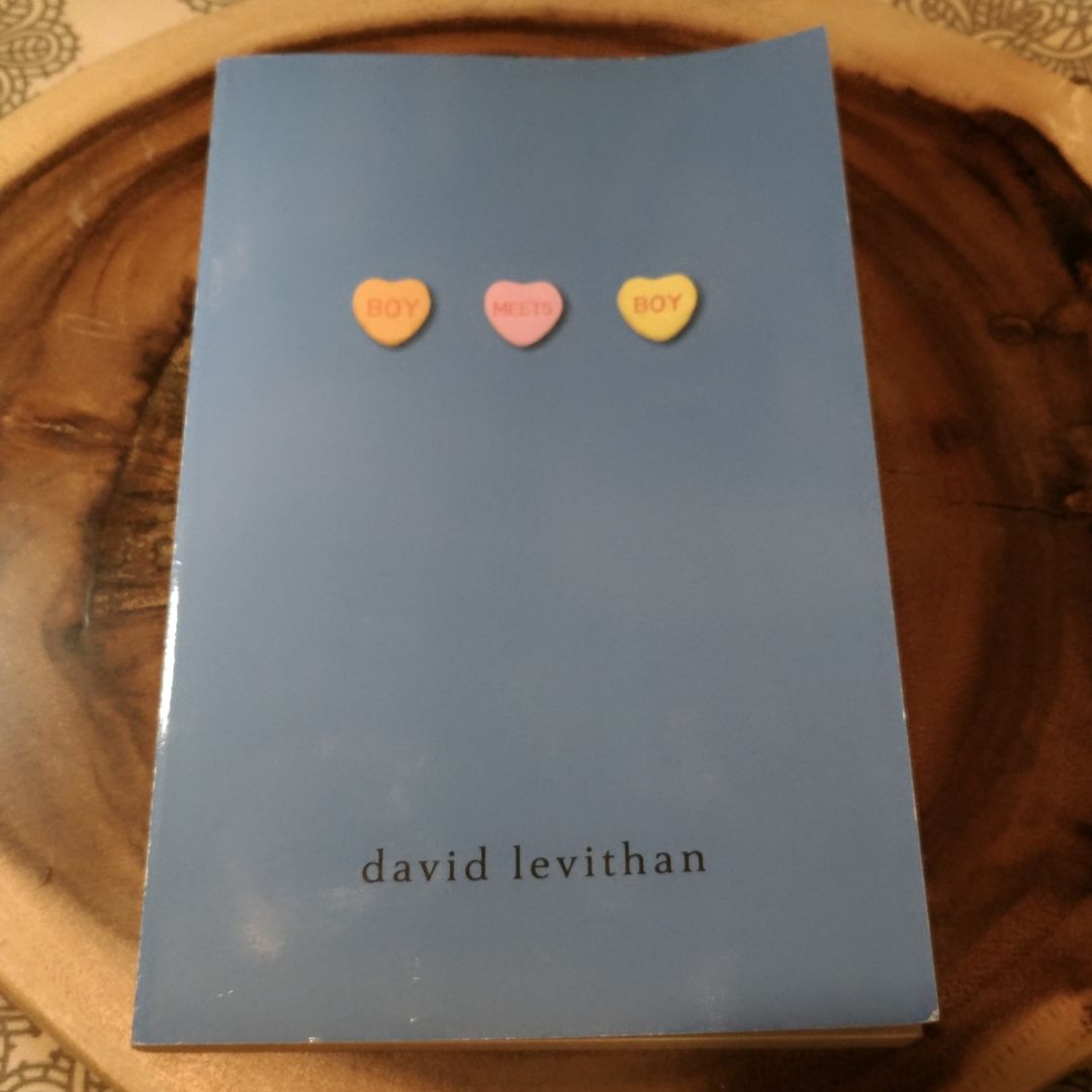 Boy Meets Boy by David Levithan, Paperback | Pangobooks