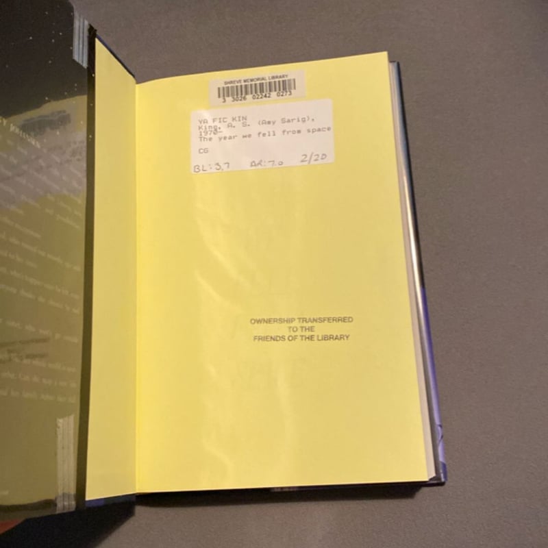 The Year We Fell from Space by Amy Sarig King
