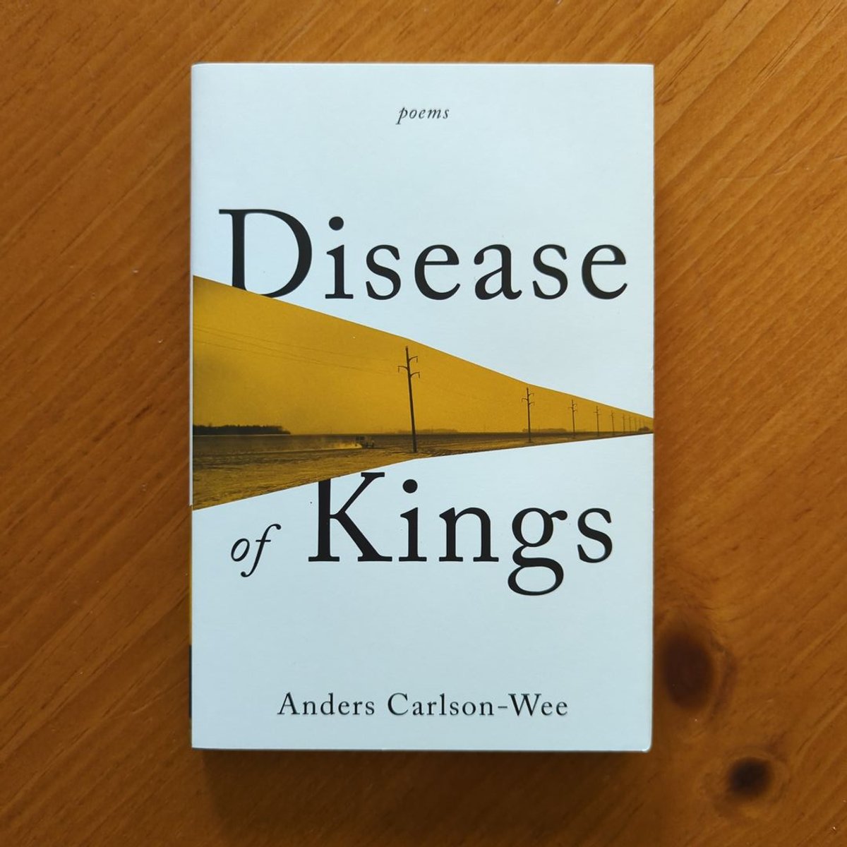 Disease of Kings by Anders Carlson-Wee