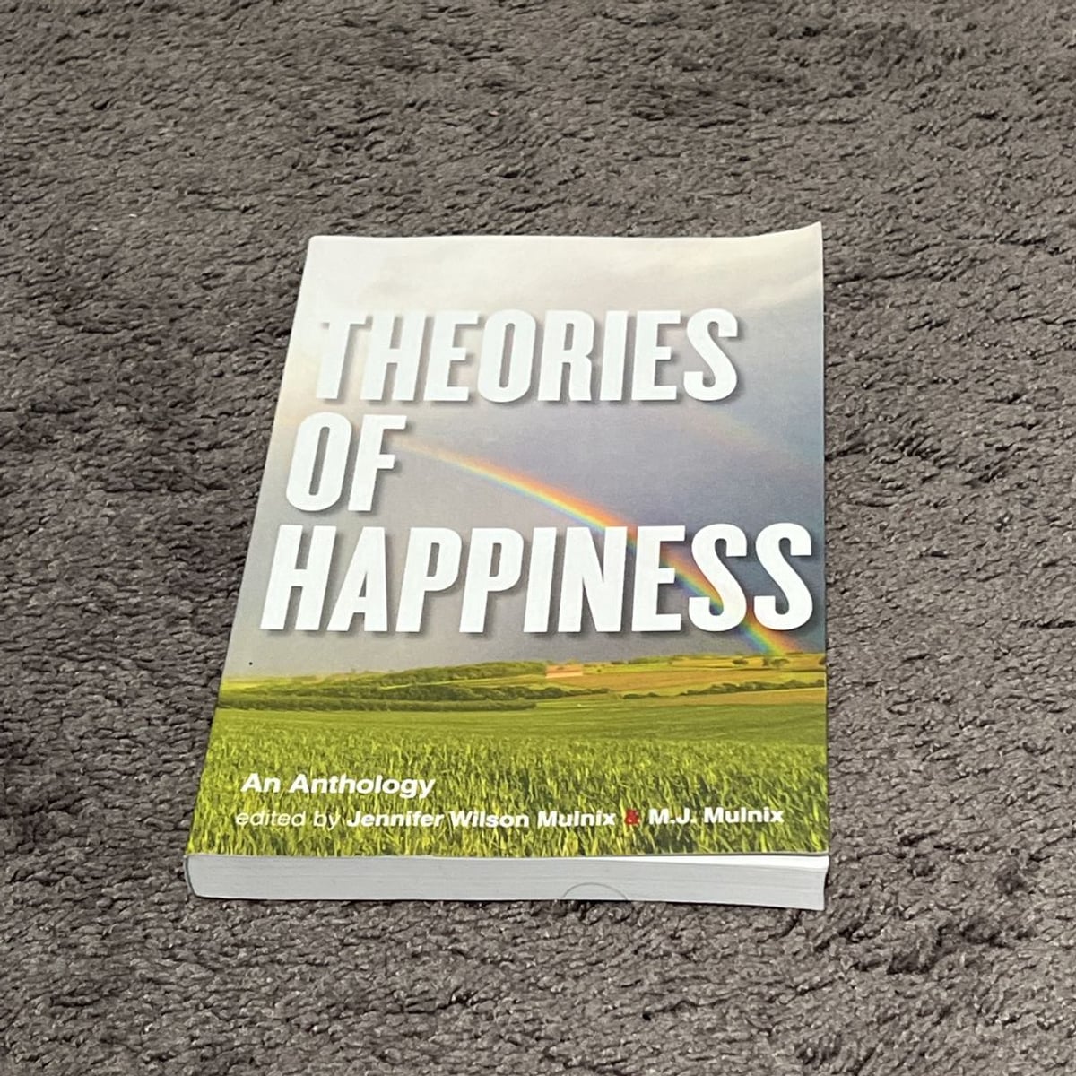 Theories of Happiness by Jennifer Wilson Mulnix