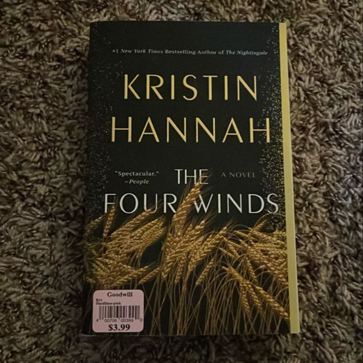 The Four Winds by Kristin Hannah, Paperback | Pangobooks