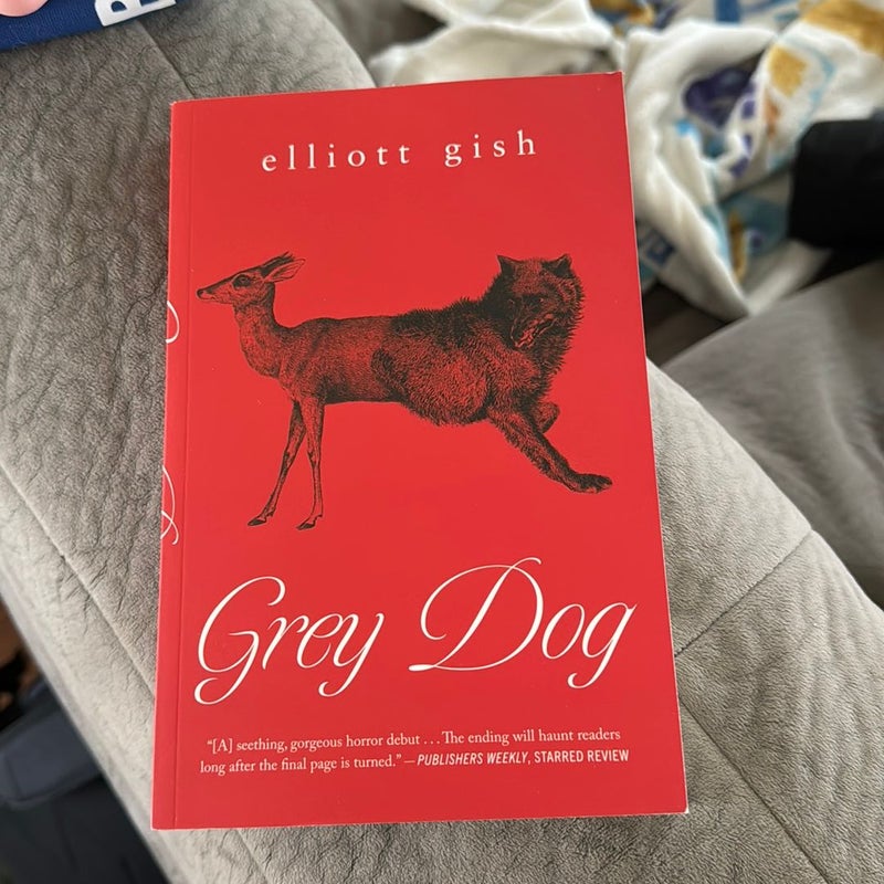 Grey Dog by Elliott Gish