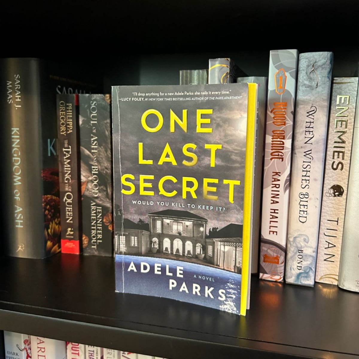 One Last Secret by Adele Parks