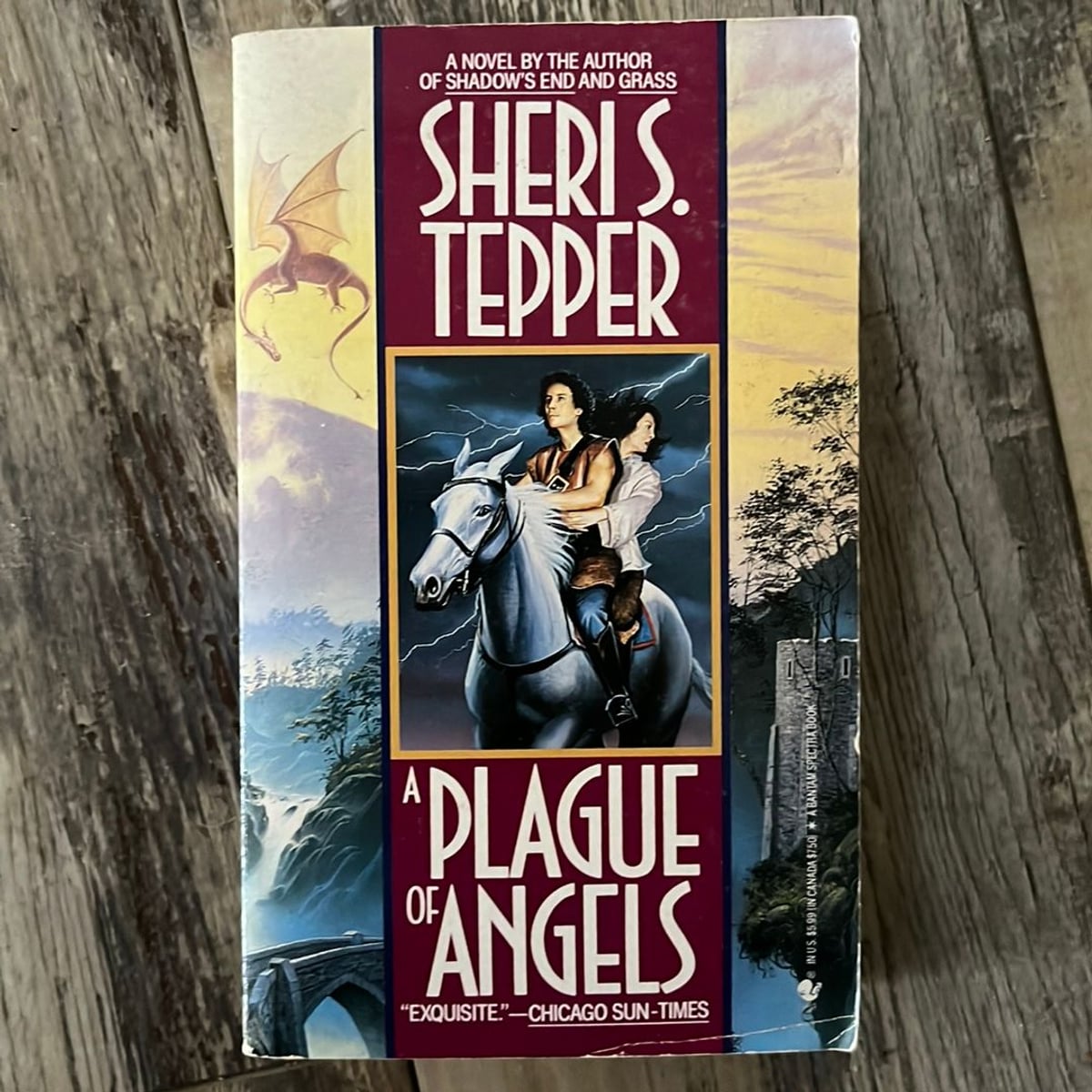 A Plague of Angels by Sheri S. Tepper, Paperback | Pangobooks
