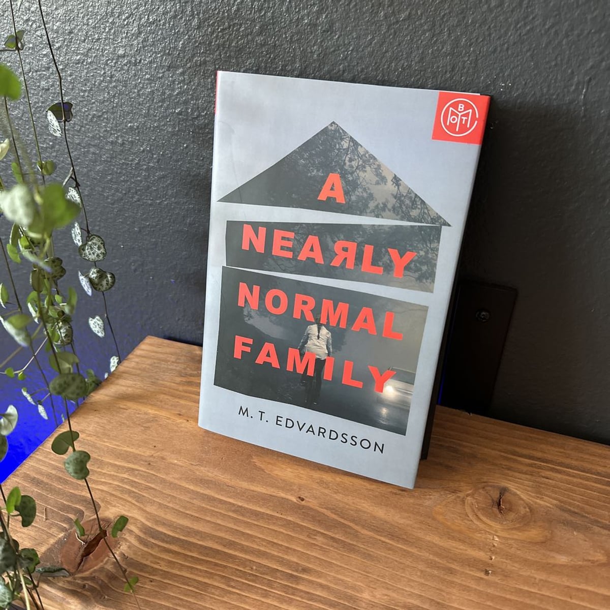 A Nearly Normal Family by M. T. Edvardsson, Hardcover | Pango Books