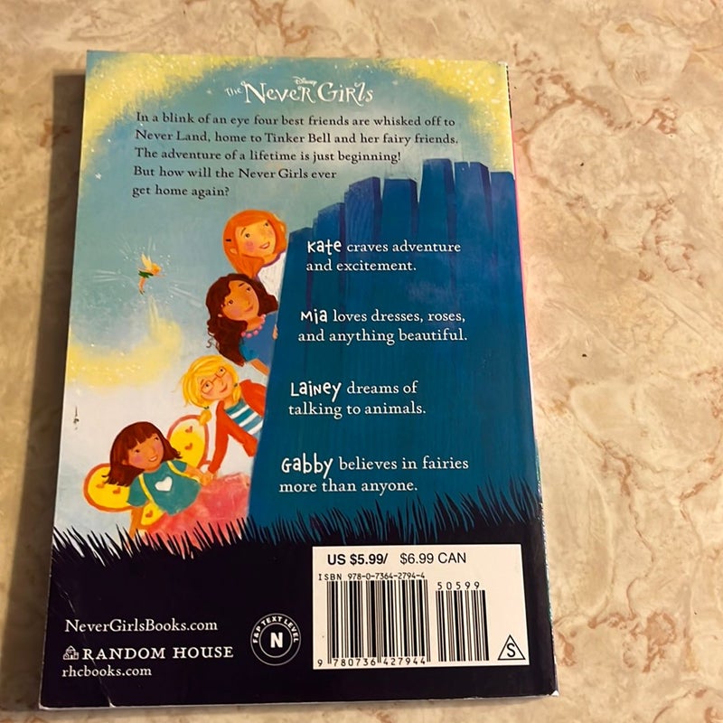 Never Girls #1: in a Blink (Disney: the Never Girls) by Kiki Thorpe ...