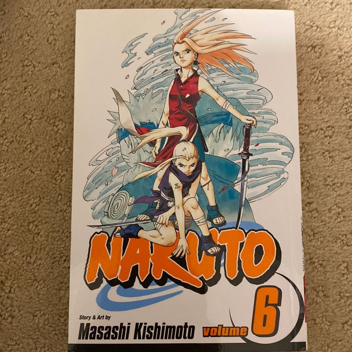 Naruto, Vol. 6 by Masashi Kishimoto