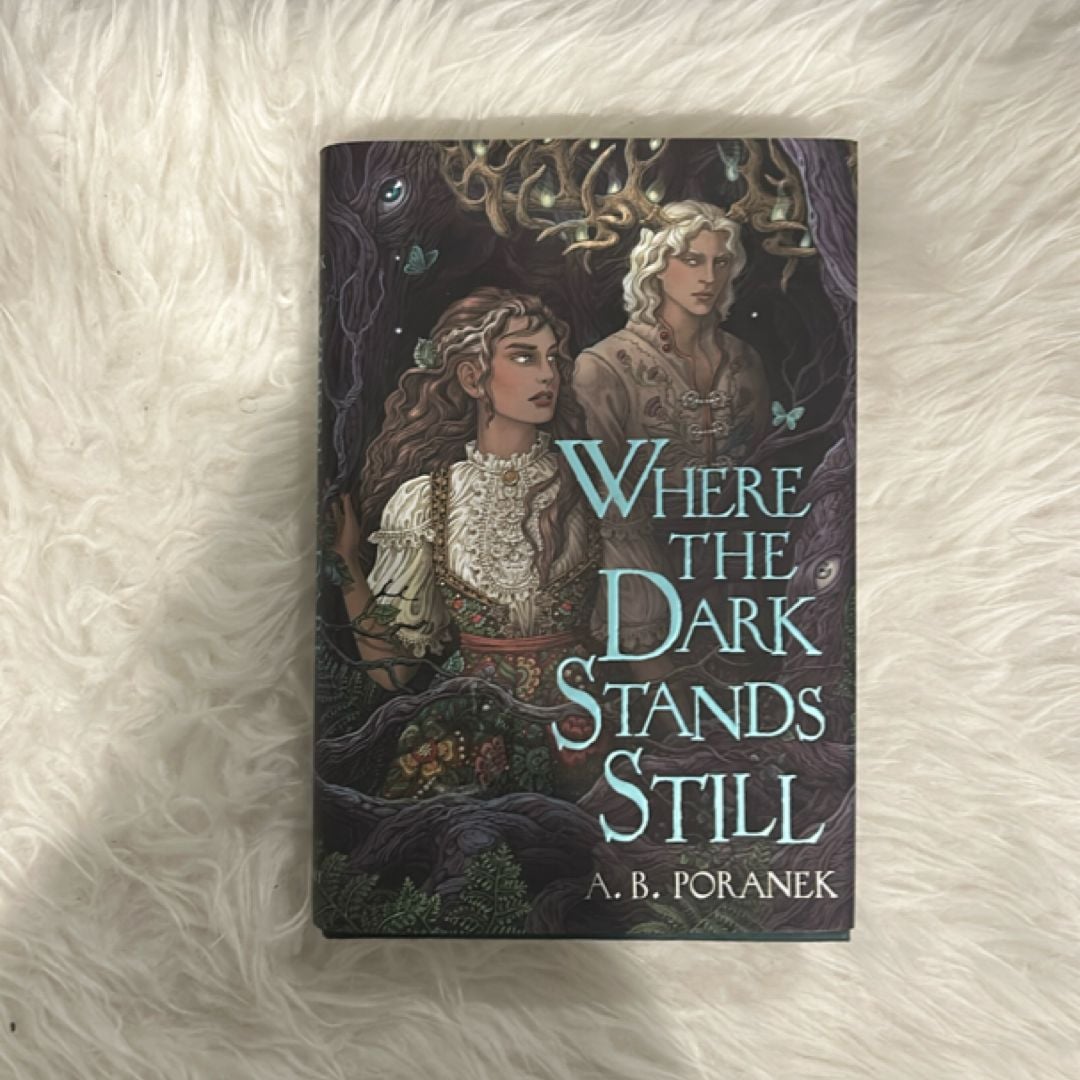Where The Dark Stands Still (B&N Exclusive Edition) by A.B. Poranek ...