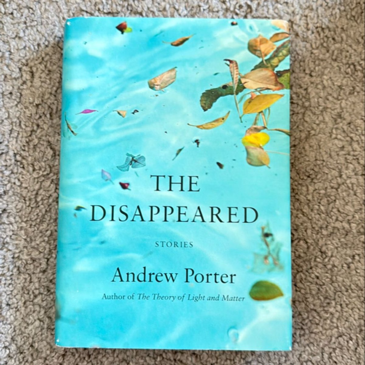 The Disappeared by Andrew Porter