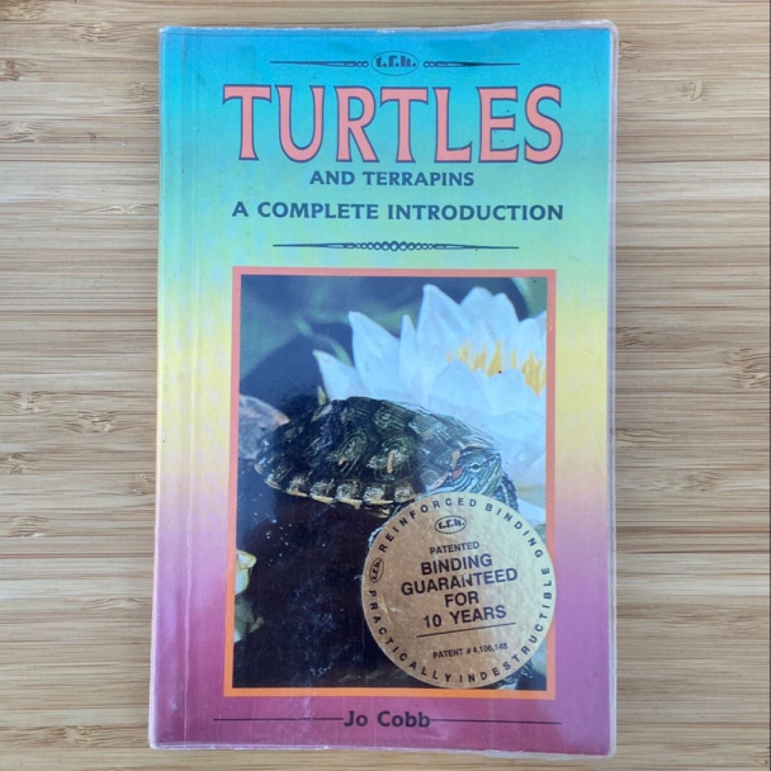 A Complete Introduction to Turtles and Terrapins by Jo Cobb