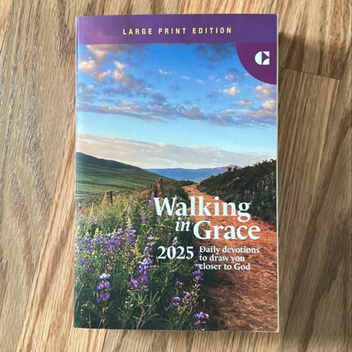 Walking in Grace 2025 Large Print by Guideposts