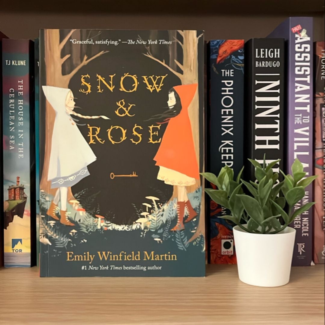 Snow and Rose by Emily Winfield Martin
