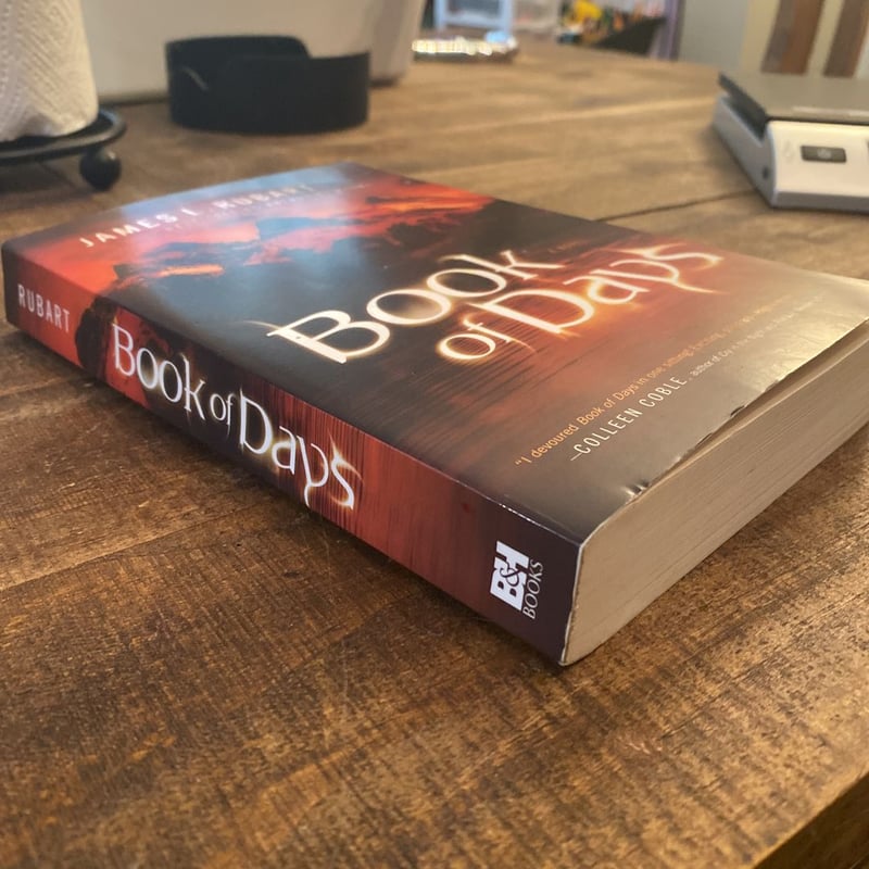 Book of Days by James L. Rubart