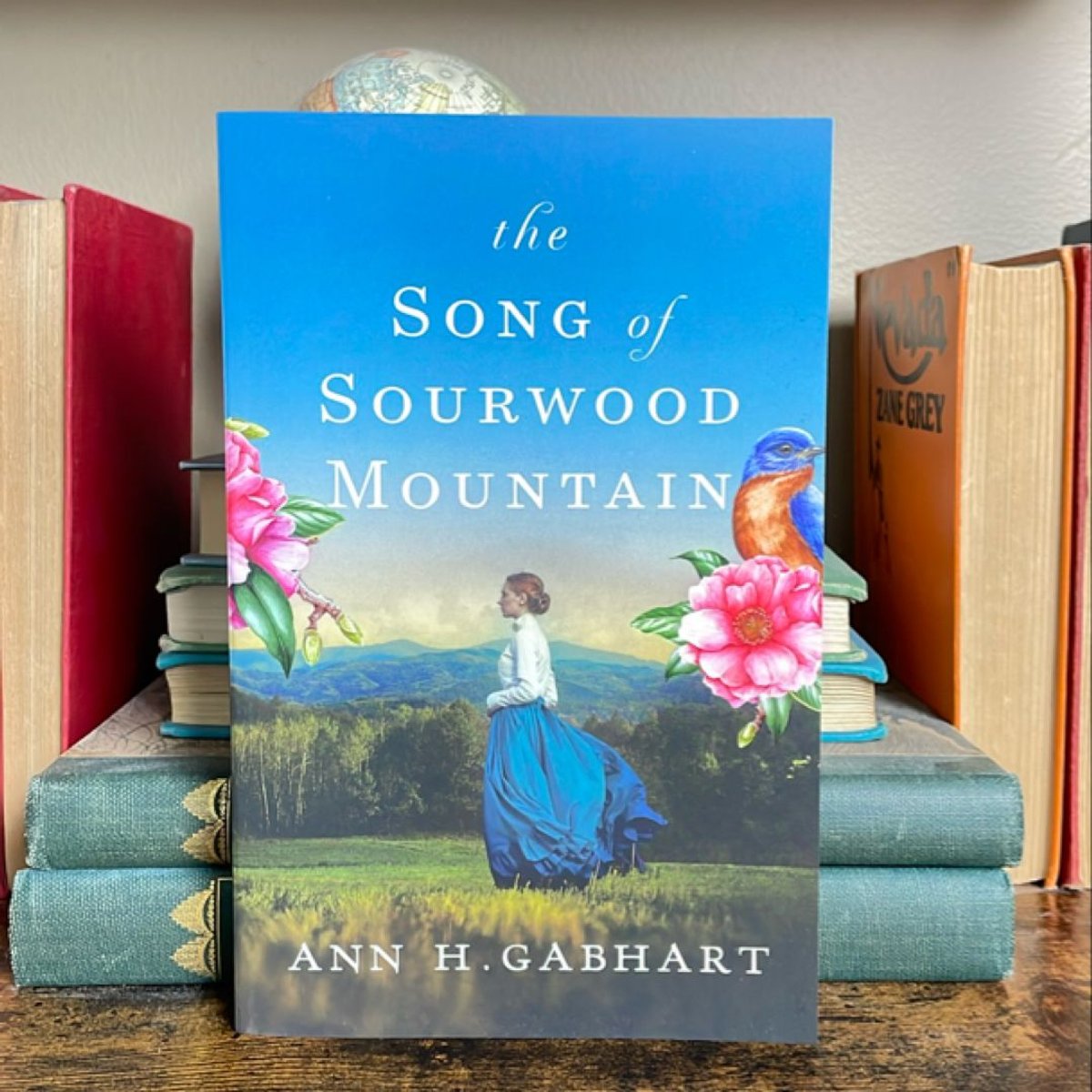 The Song of Sourwood Mountain by Ann H. Gabhart