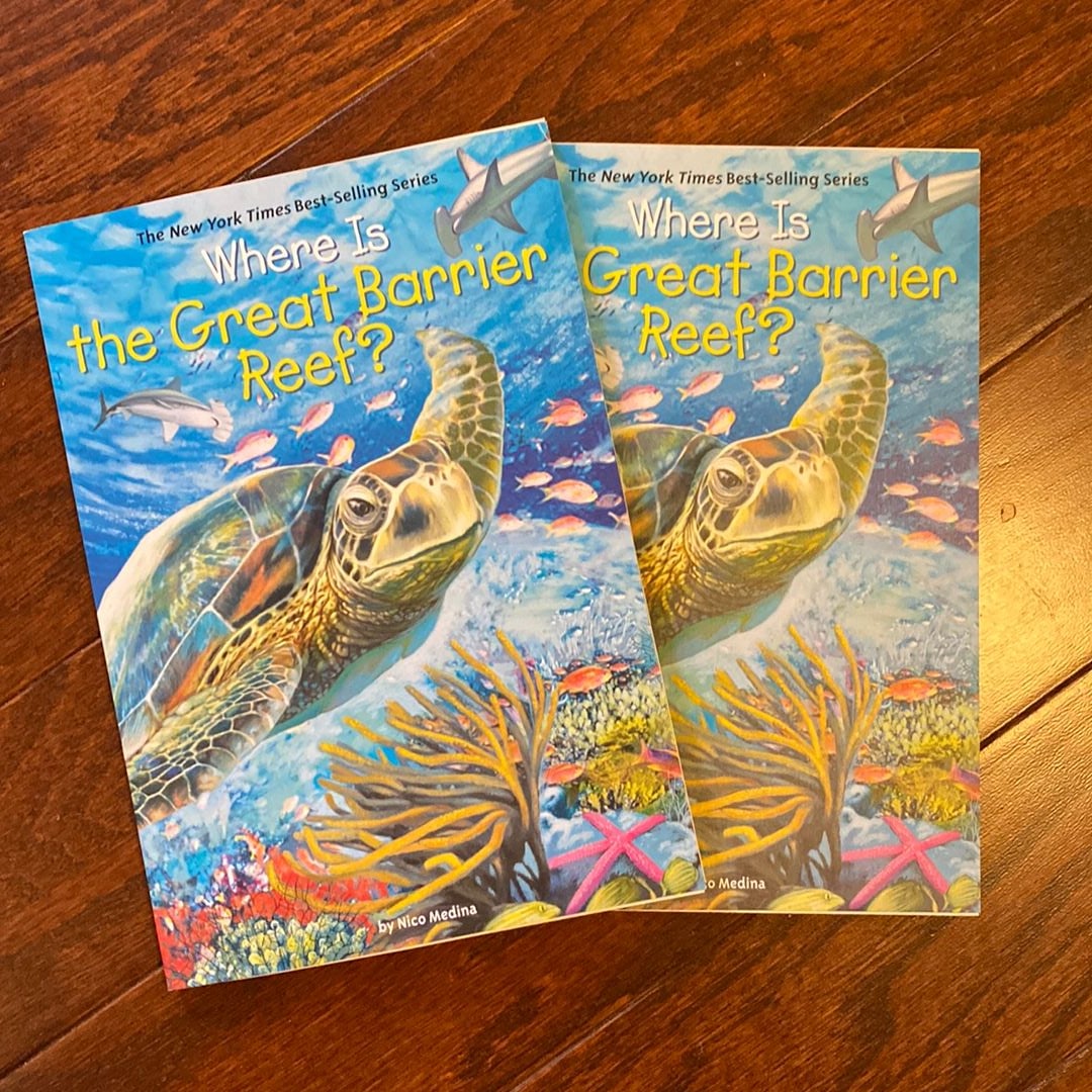 Where is the Great Barrier Reef? 🐢 by Nico Medina , Paperback | Pangobooks